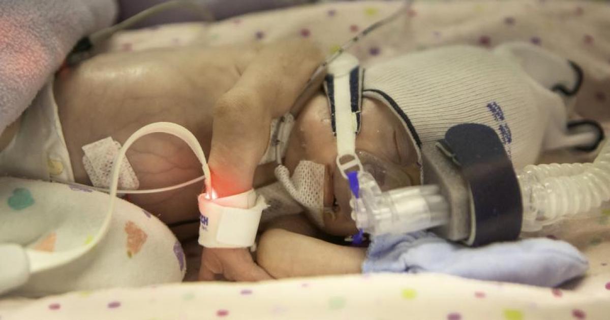 Paizlee Rose Adams | IWK Foundation